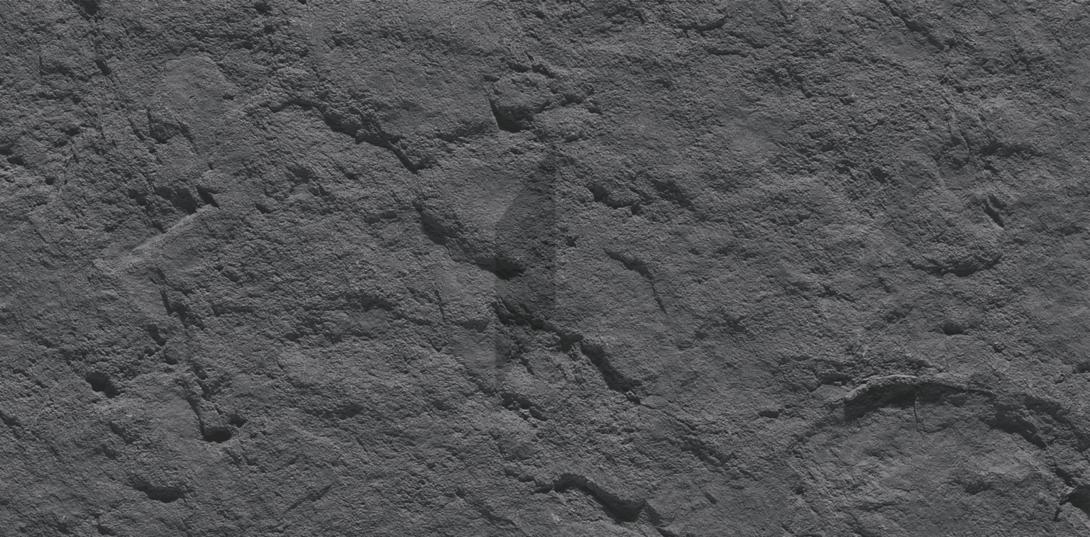 Stone Cladding | Natural Finish by Phomi MCM India